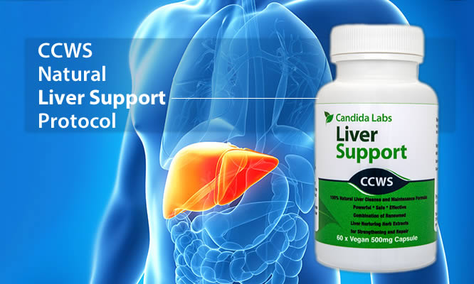 Cleanse Smart, Support Your Liver! | CCWS Candida Cleanser